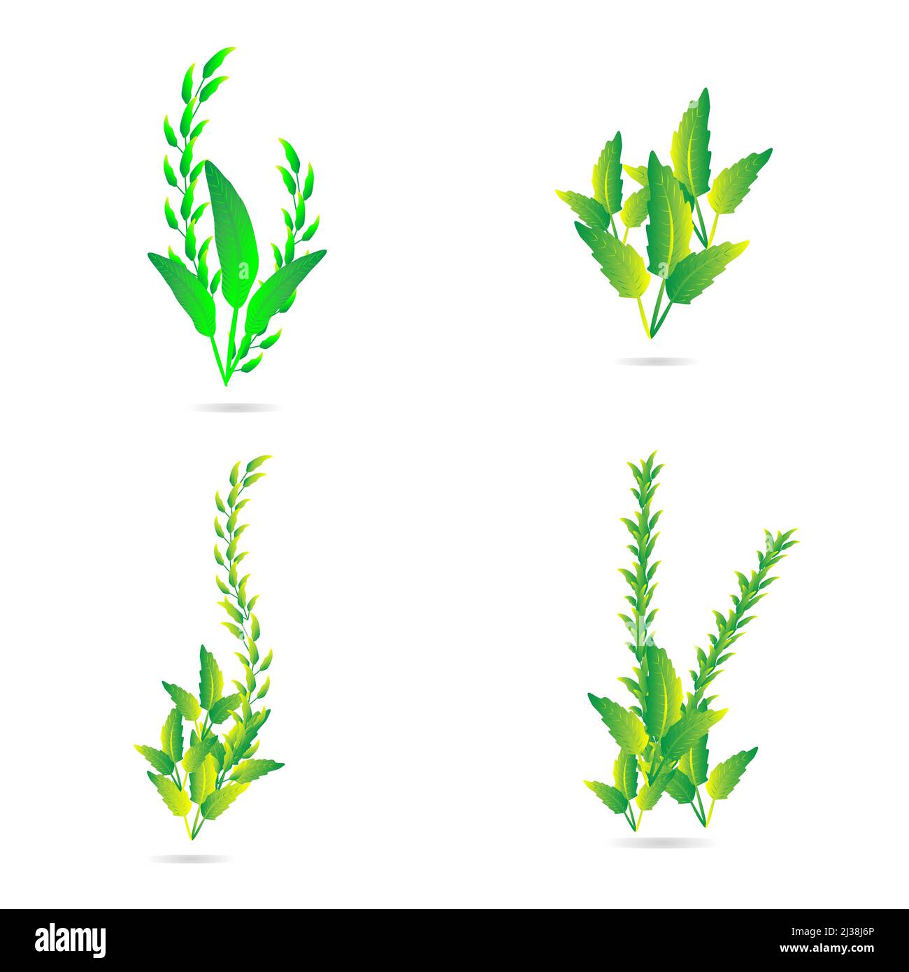 Garden backgrounds vector Cut Out Stock Images & Pictures - Alamy