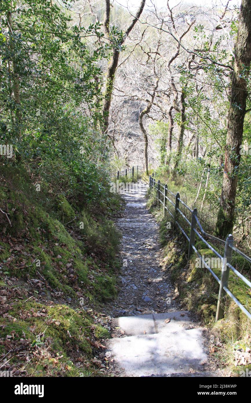 Devil's Bridge Falls, Aberystwyth - a spectacular waterfall attraction ...