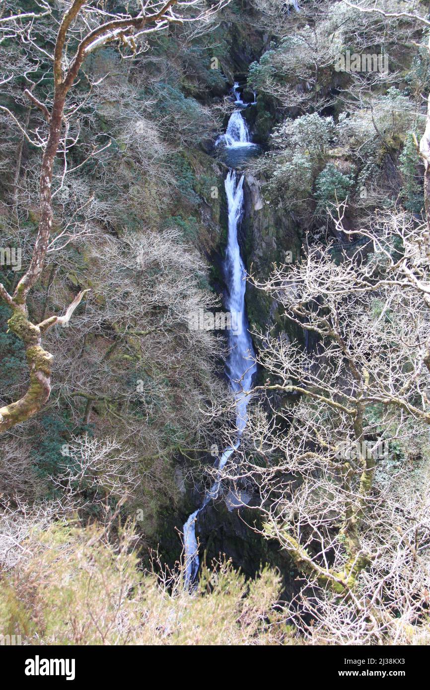 Devil's Bridge Falls, Aberystwyth - a spectacular waterfall attraction ...
