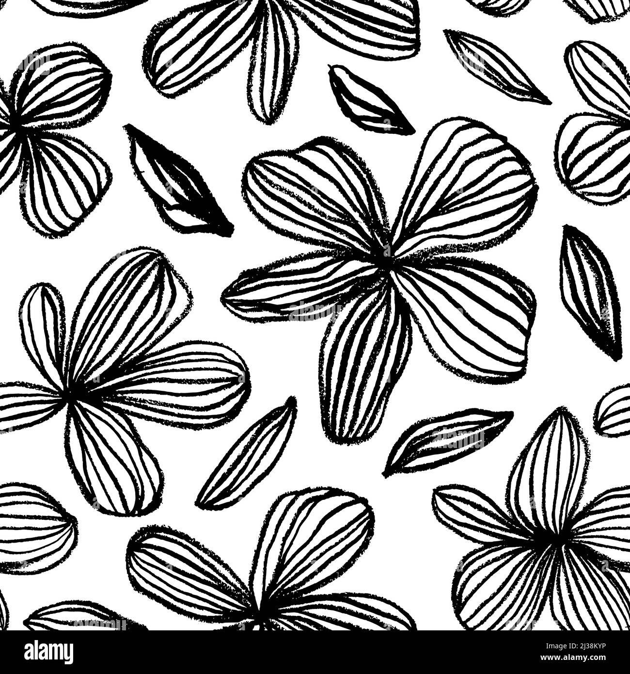 Abstract daisy black line flowers seamless pattern Stock Vector Image ...
