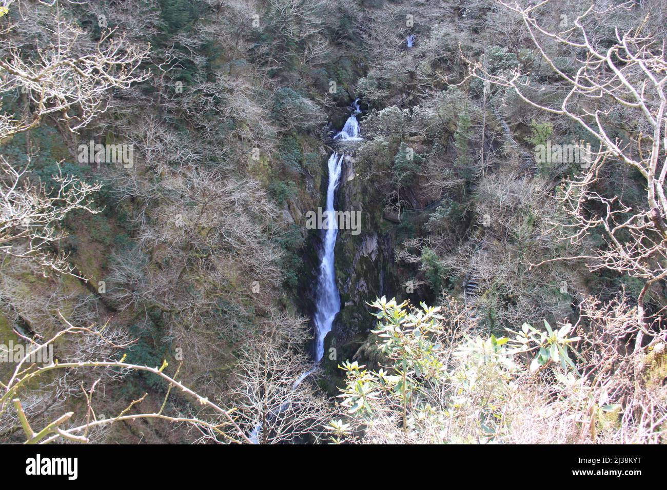 Devil's Bridge Falls, Aberystwyth - a spectacular waterfall attraction ...