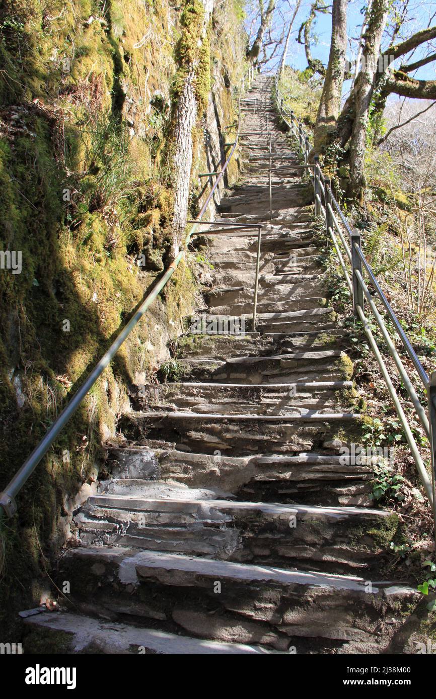 Devil's Bridge Falls, Aberystwyth - a spectacular waterfall attraction ...
