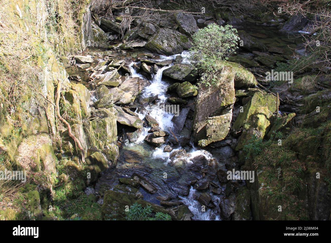 Devil's Bridge Falls, Aberystwyth - a spectacular waterfall attraction ...