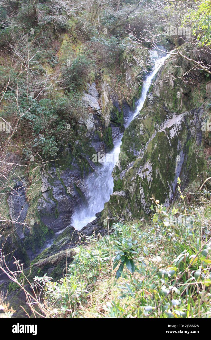 Devil's Bridge Falls, Aberystwyth - a spectacular waterfall attraction ...