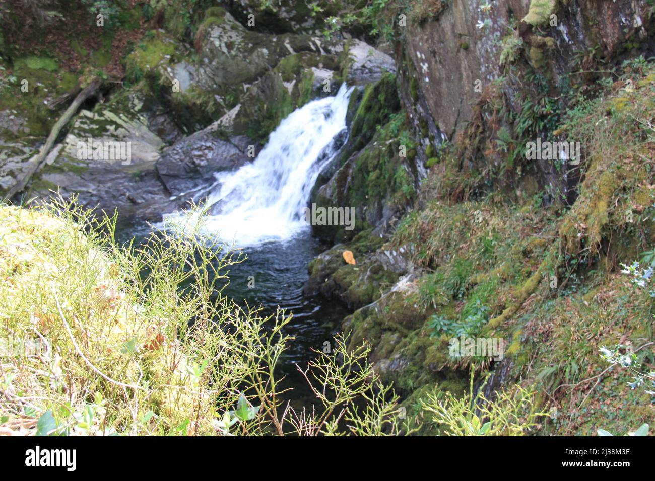 Devil's Bridge Falls, Aberystwyth - a spectacular waterfall attraction ...