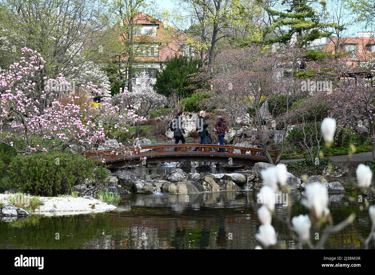 Vienna, Austria. April 06, 2022. Setagayapark in Vienna. Setagaya Park ...