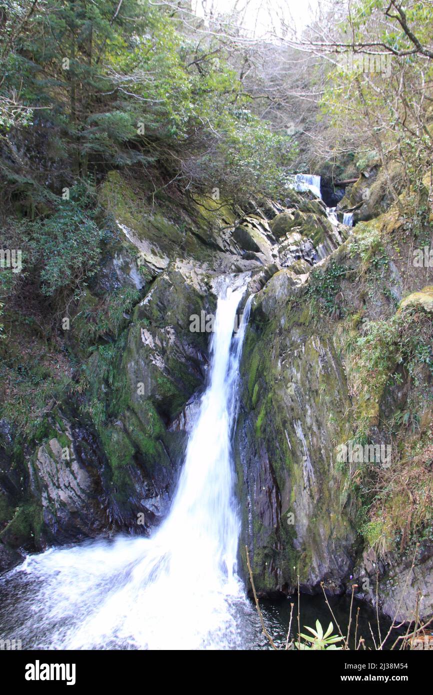 Devil's Bridge Falls, Aberystwyth - a spectacular waterfall attraction ...