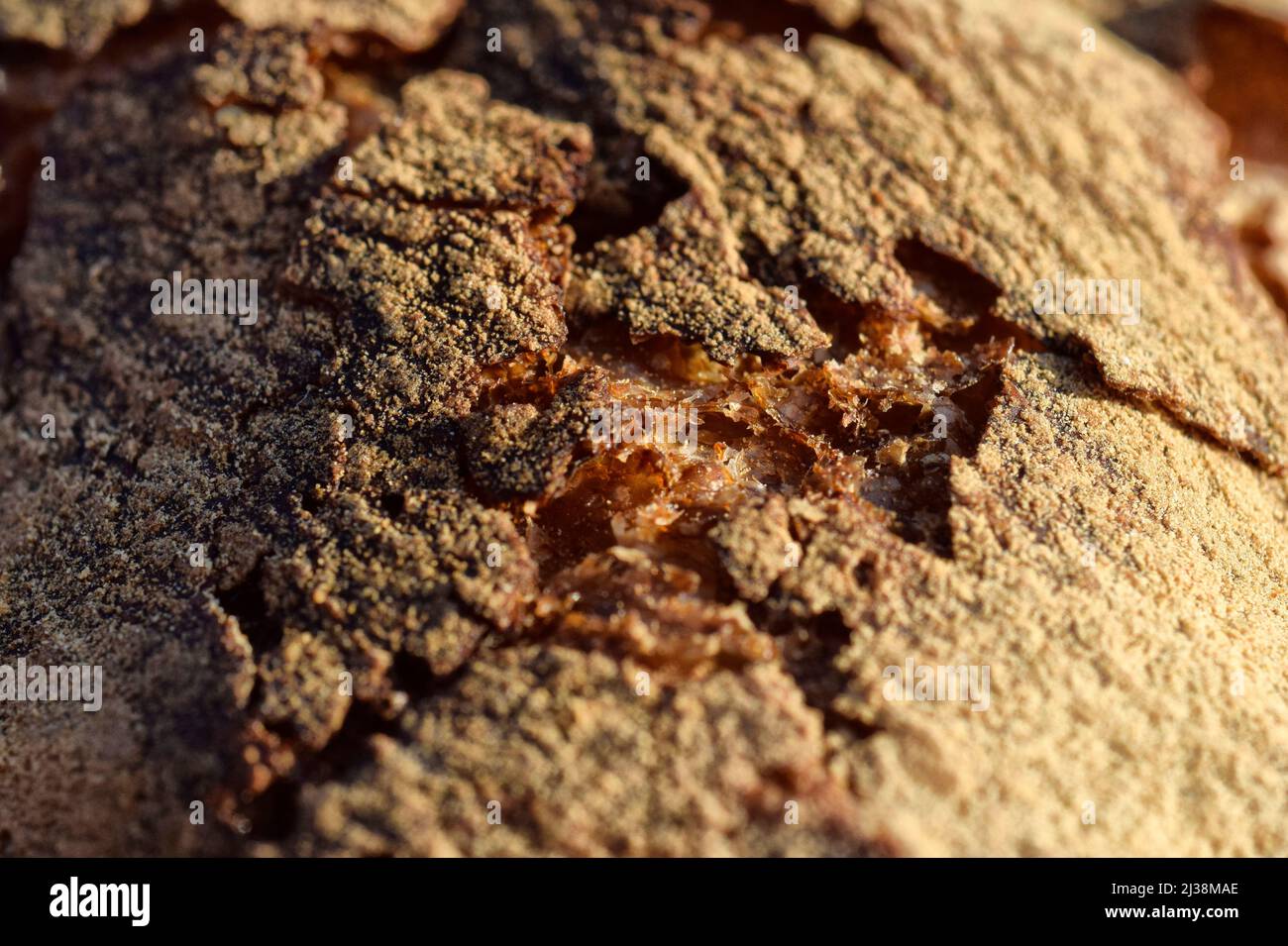Bread textures hi-res stock photography and images - Alamy