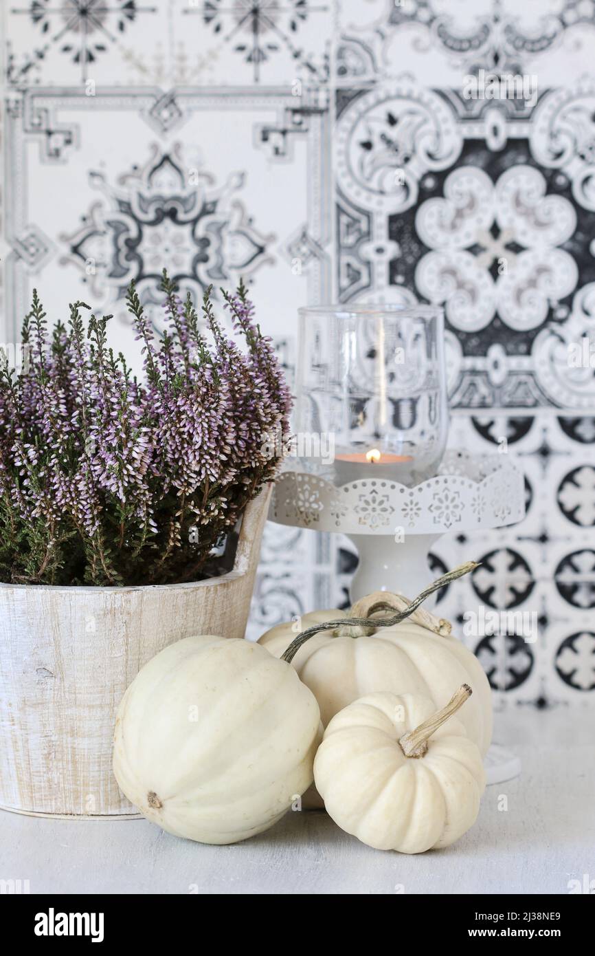 Table decoration with white baby boo pumpkins and heather (calluna ...
