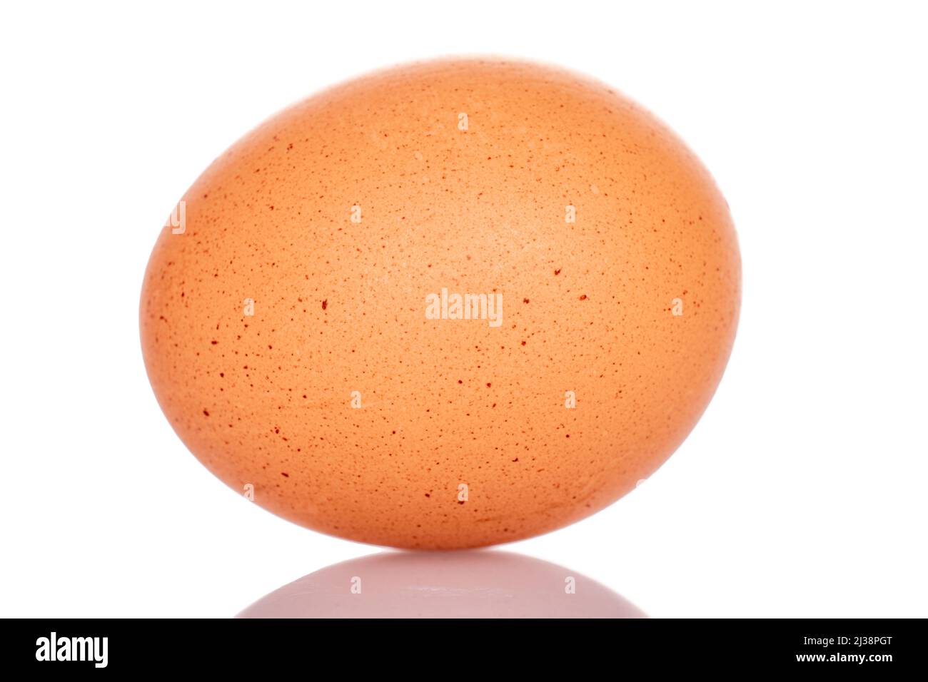 One chicken egg, macro, isolated on a white background Stock Photo - Alamy