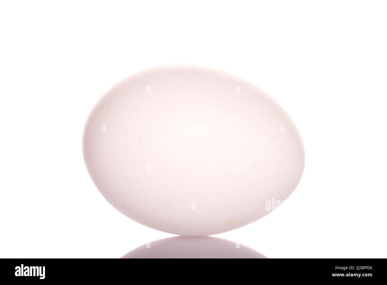 One chicken egg, macro, isolated on a white background Stock Photo - Alamy