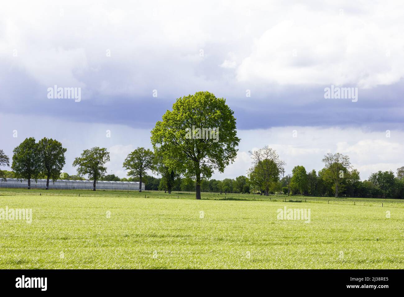 A beautiful view of a green landscape with trees under cloudy sky Stock ...