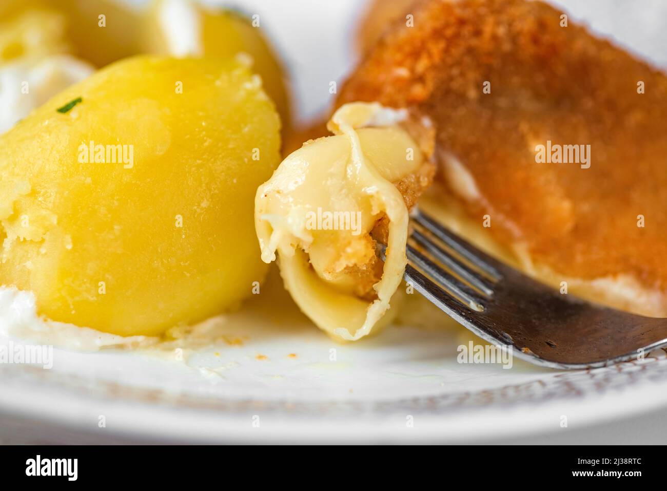 Fried breaded cheese, one piece is melted on fork, boiled potato on ...