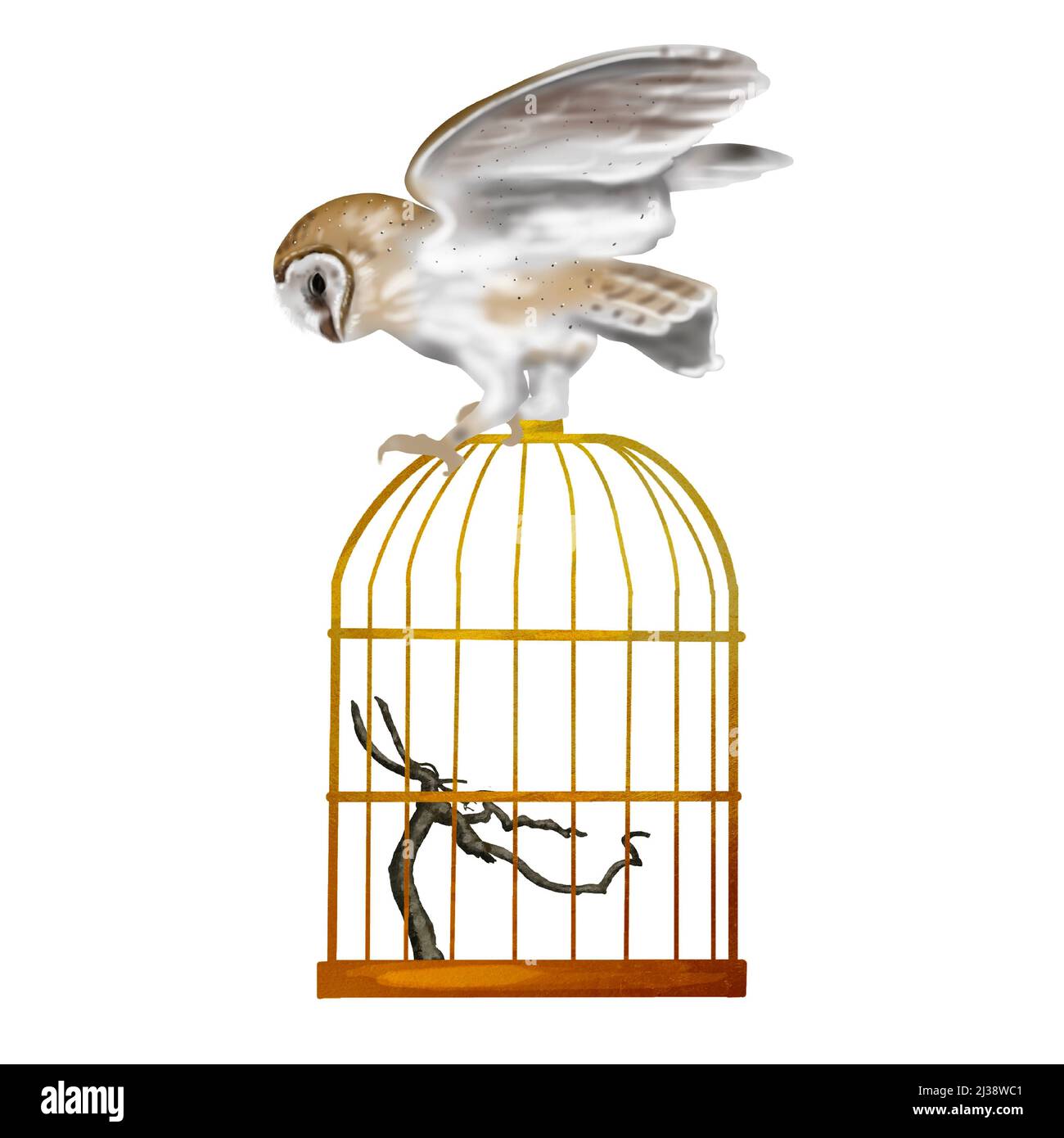 Watercolor flying owl barn owl. A realistic illustration of an owl ...