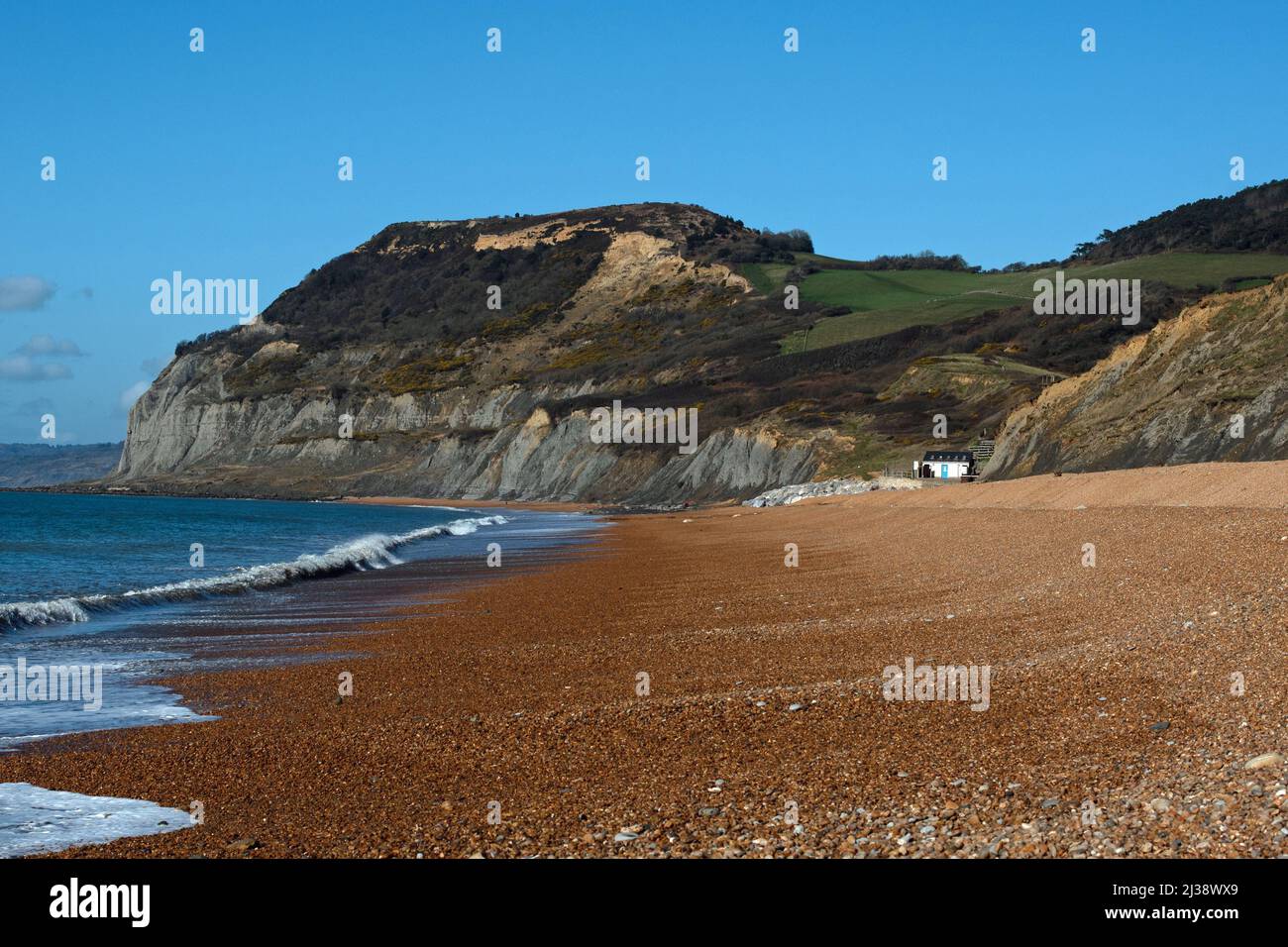 Golden cap estate hi-res stock photography and images - Alamy