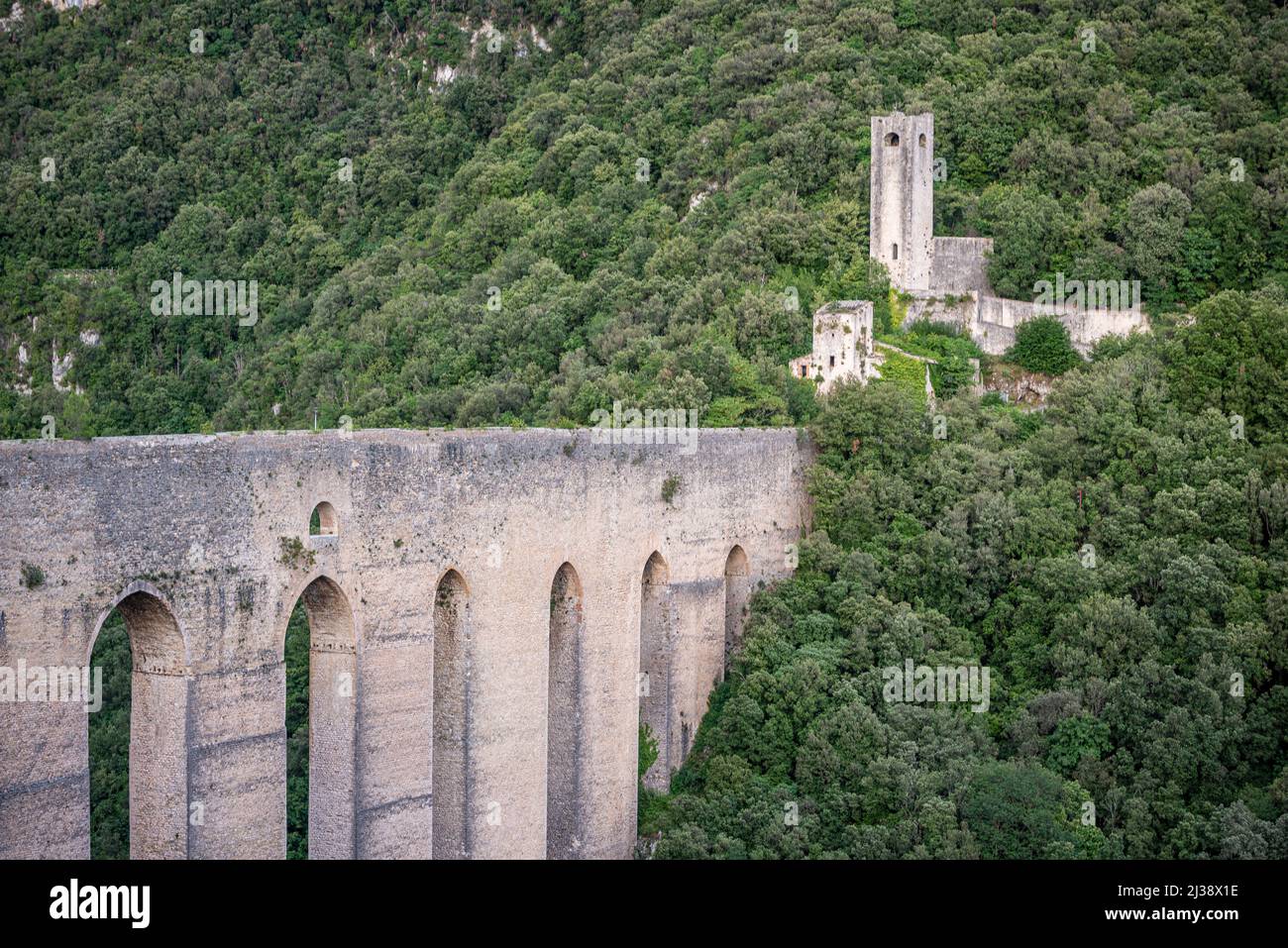 Bridge towers ponte delle hi-res stock photography and images - Alamy