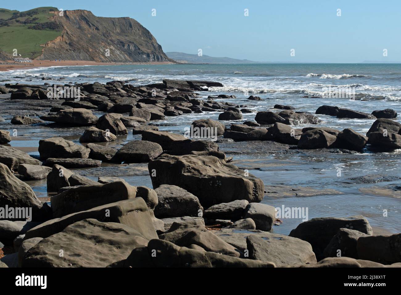Golden cap estate hi-res stock photography and images - Alamy