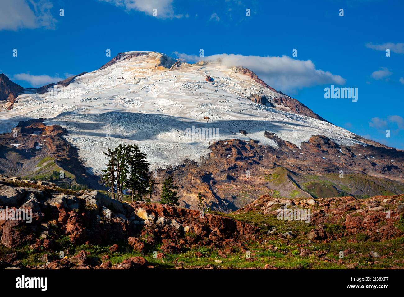 WA21335-00...WASHINGTON - Mount Baker viewed from the south side at ...