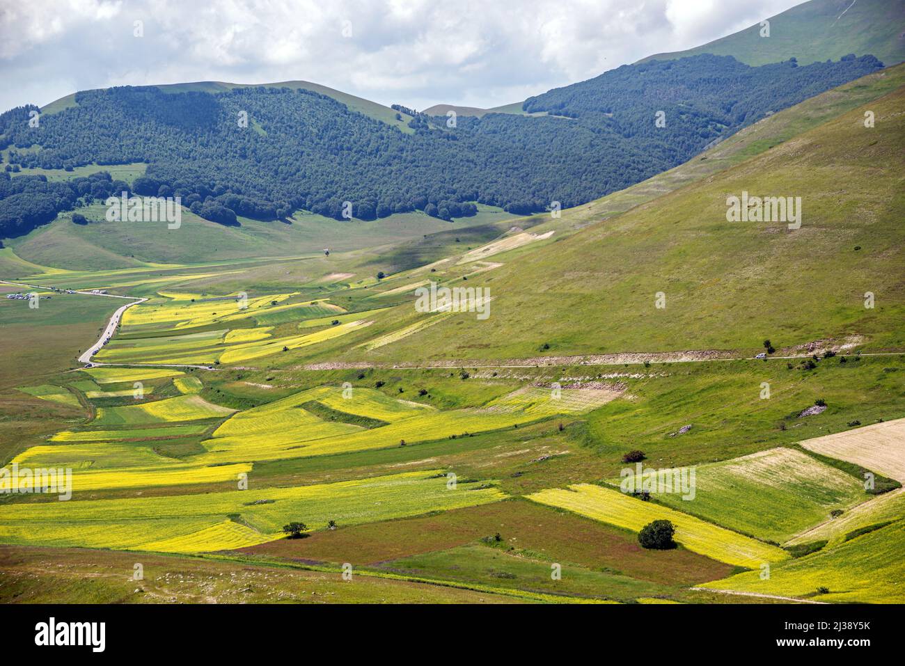 View of Pian Piccolo valley during June blooming, Castelluccio di ...