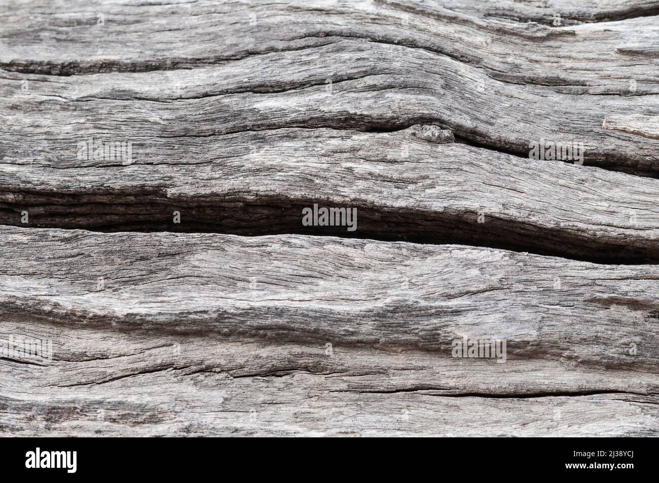 Rustic gray wood background with structural effect Stock Photo - Alamy