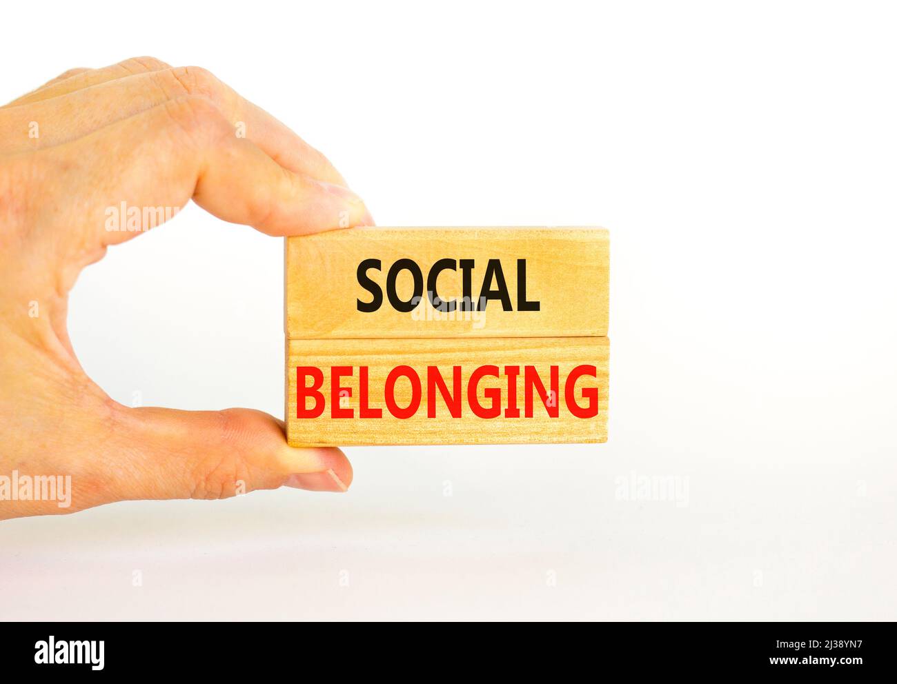Social belonging symbol. Wooden blocks with concept words Social ...
