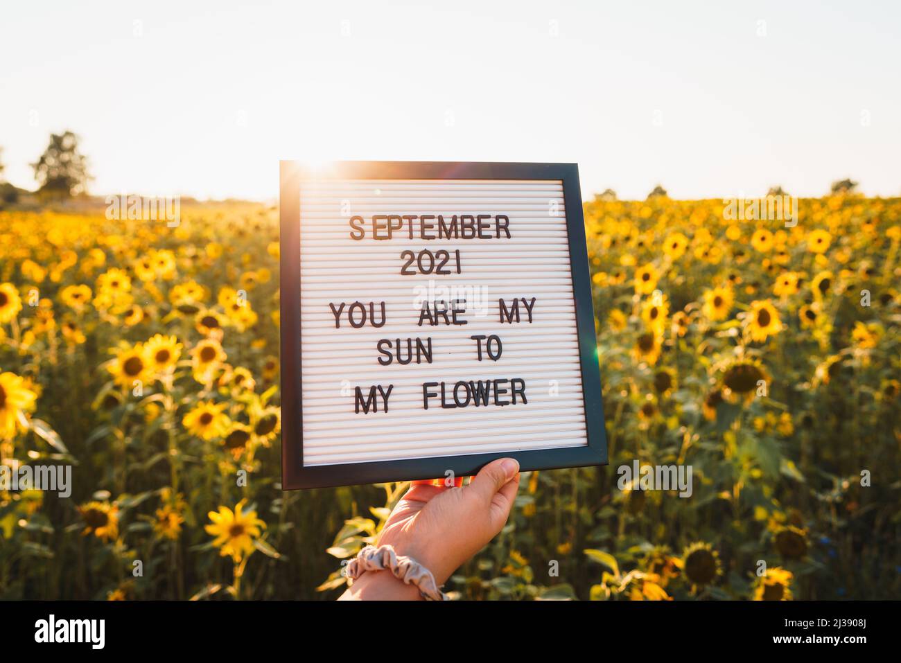 A person holding a frame "September 2021 you are my sun to my flower ...