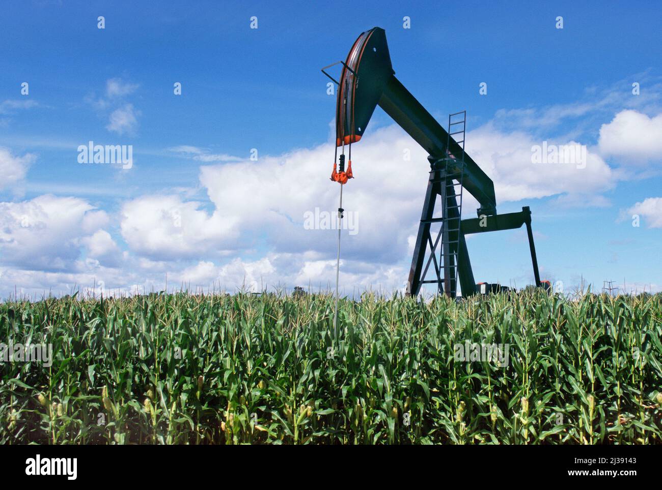 Corn farm Fracking Nodding donkey. Drilling oil derrick. Pump jack isolated rural farming. Fuel ...