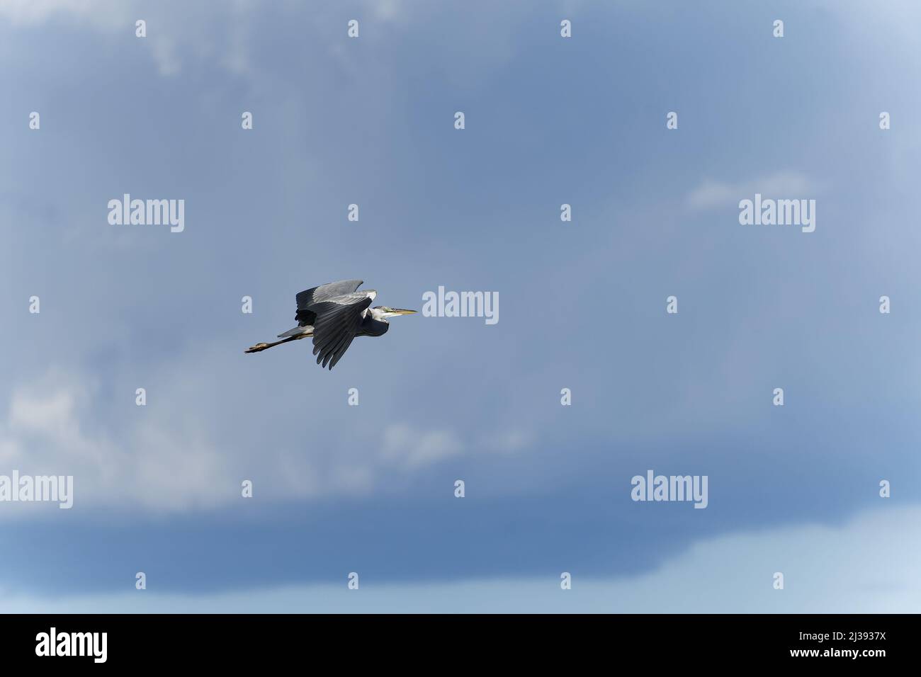 Haron hi-res stock photography and images - Alamy