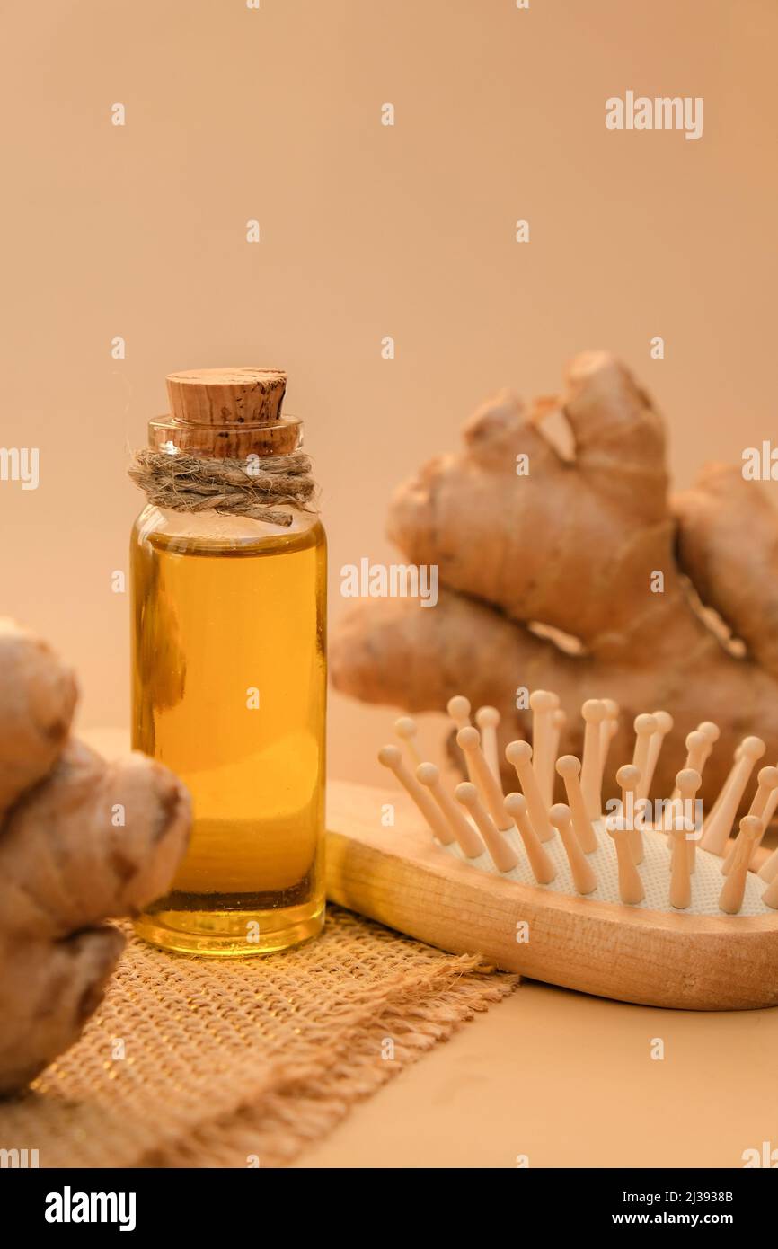 Glass bottle of essential ginger oil, ginger root on beige background ...