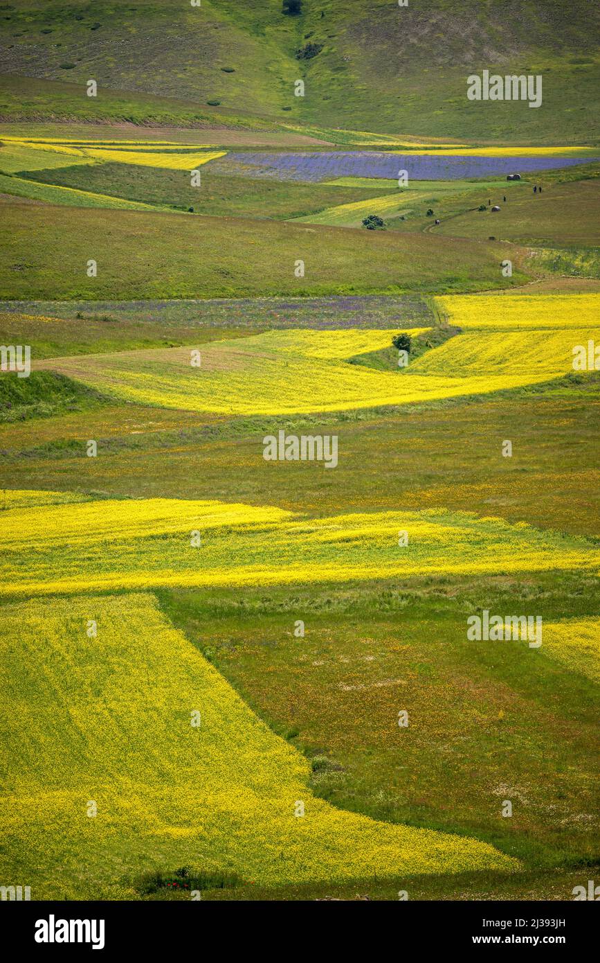 Altopiano di castelluccio hi-res stock photography and images - Alamy