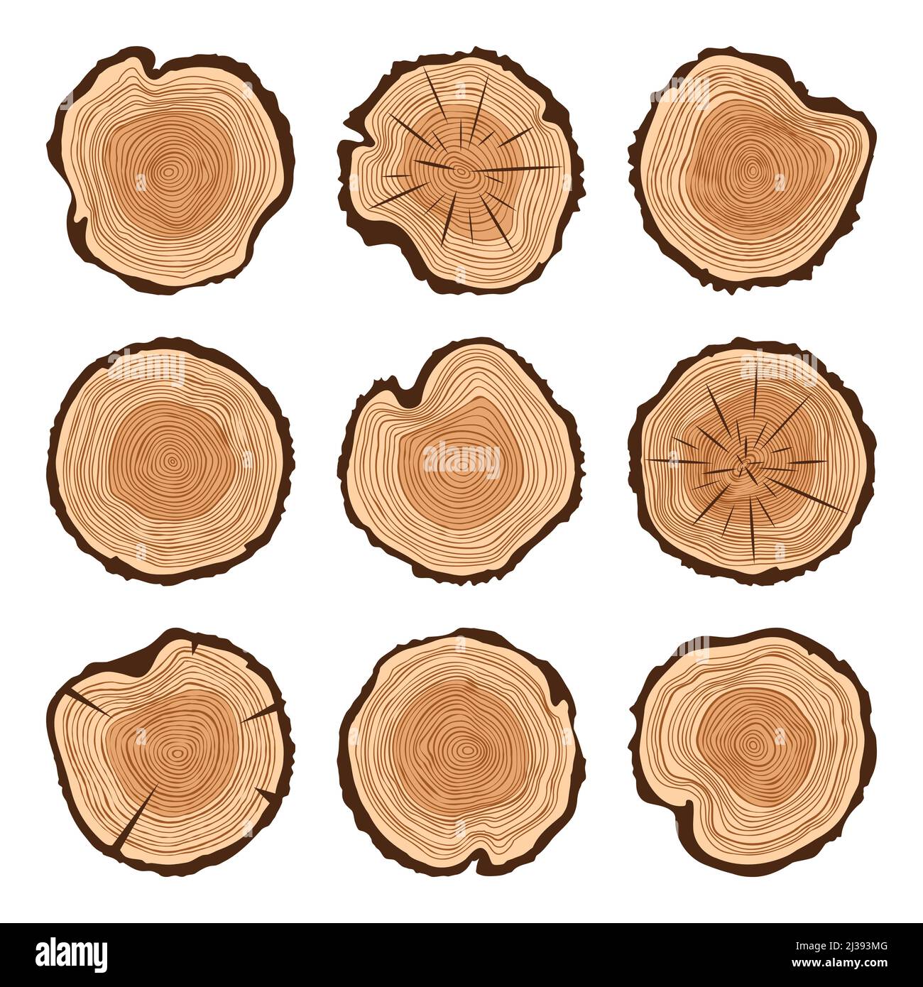 Round tree trunk cuts with cracks, sawn pine or oak slices, lumber. Saw ...