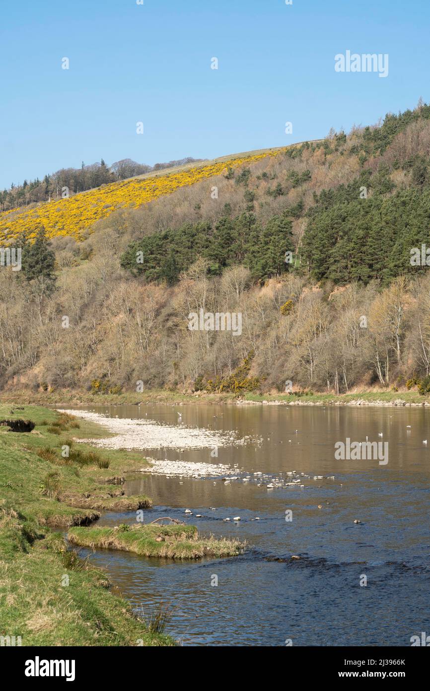 View in scottish borders hi-res stock photography and images - Alamy