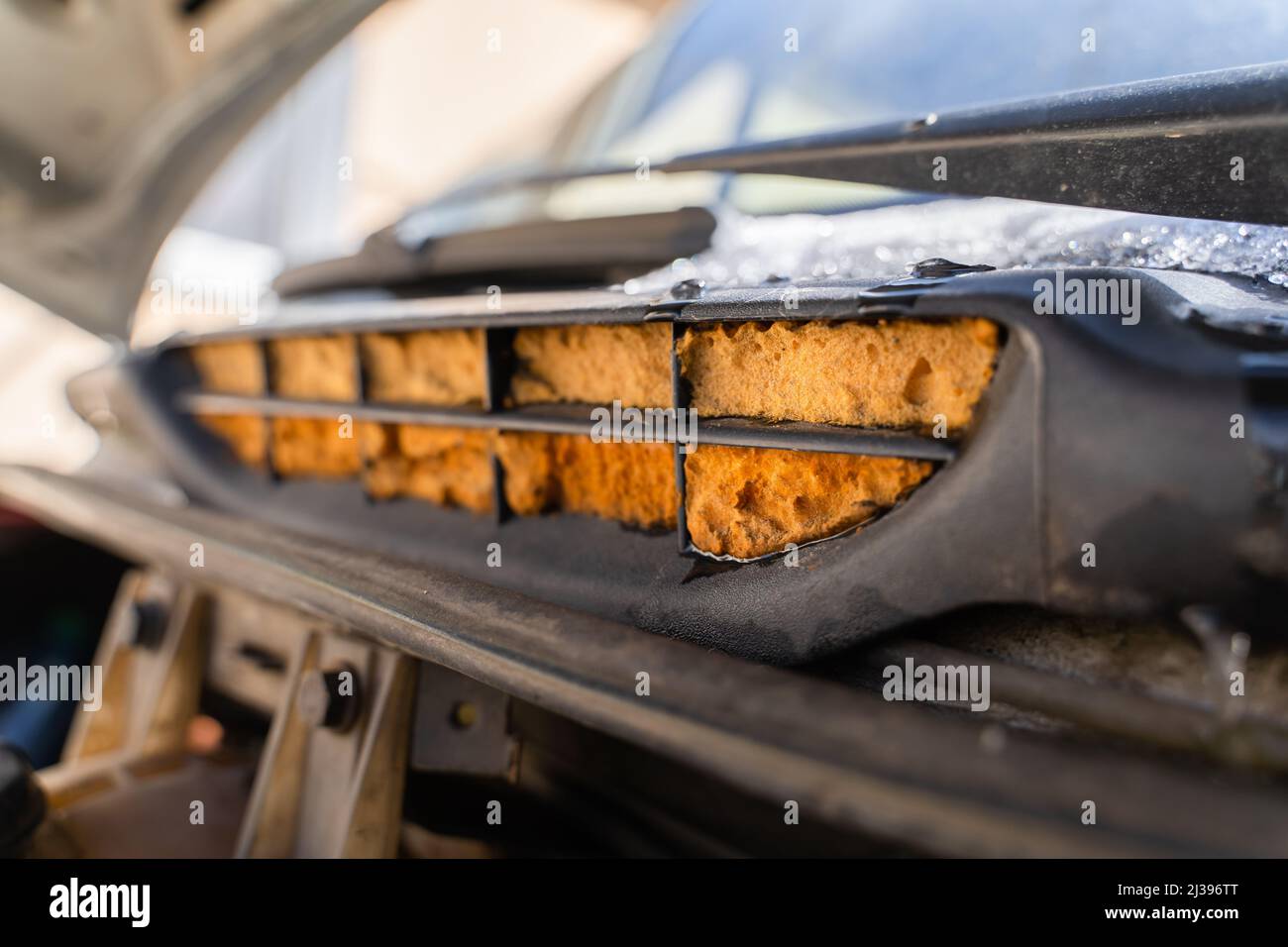 The air intake of the car is filled with polyurethane foam. Hoodless ...