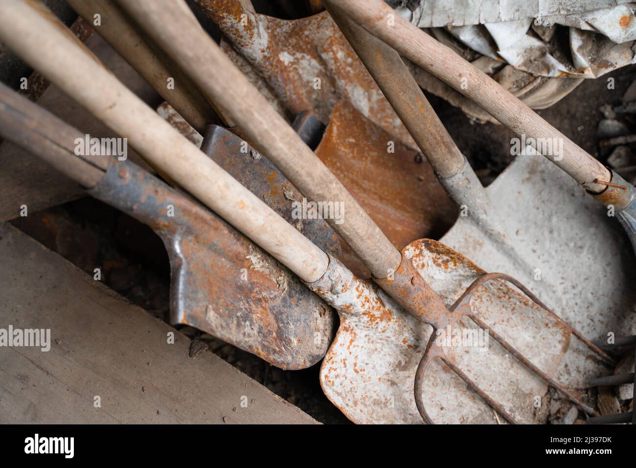 Rusted garden tools lie in a warehouse. Shovels and pitchforks Stock ...
