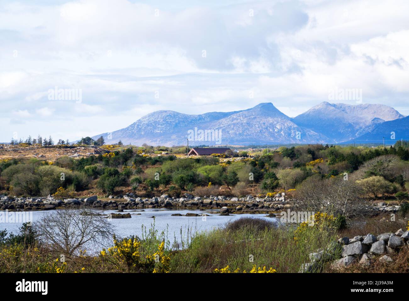 Connemara landscape with part of the Twelve Bens Mountains on the ...