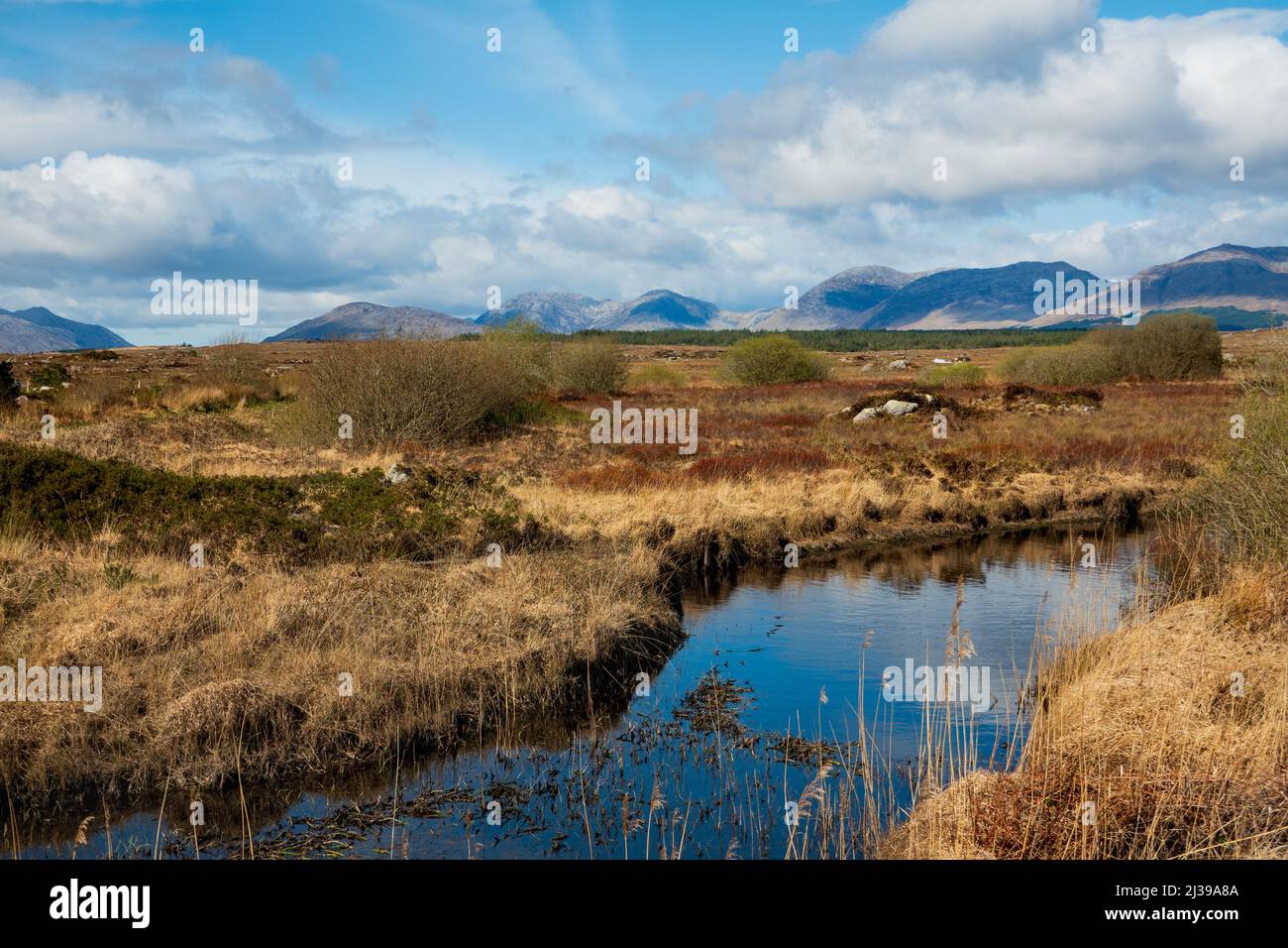 Connemara landscape with part of the Twelve Bens Mountains on the ...