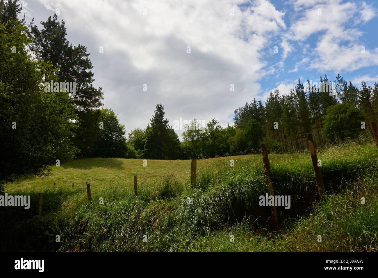 Enclosed by a fence hi-res stock photography and images - Alamy
