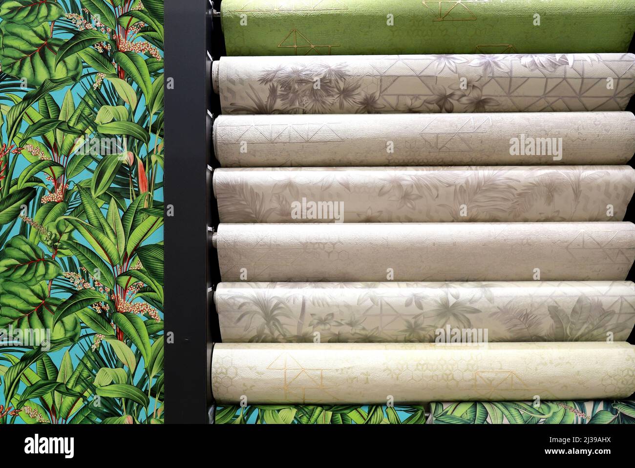 Rolls of vinyl wallpaper in building materials store. Various textures ...