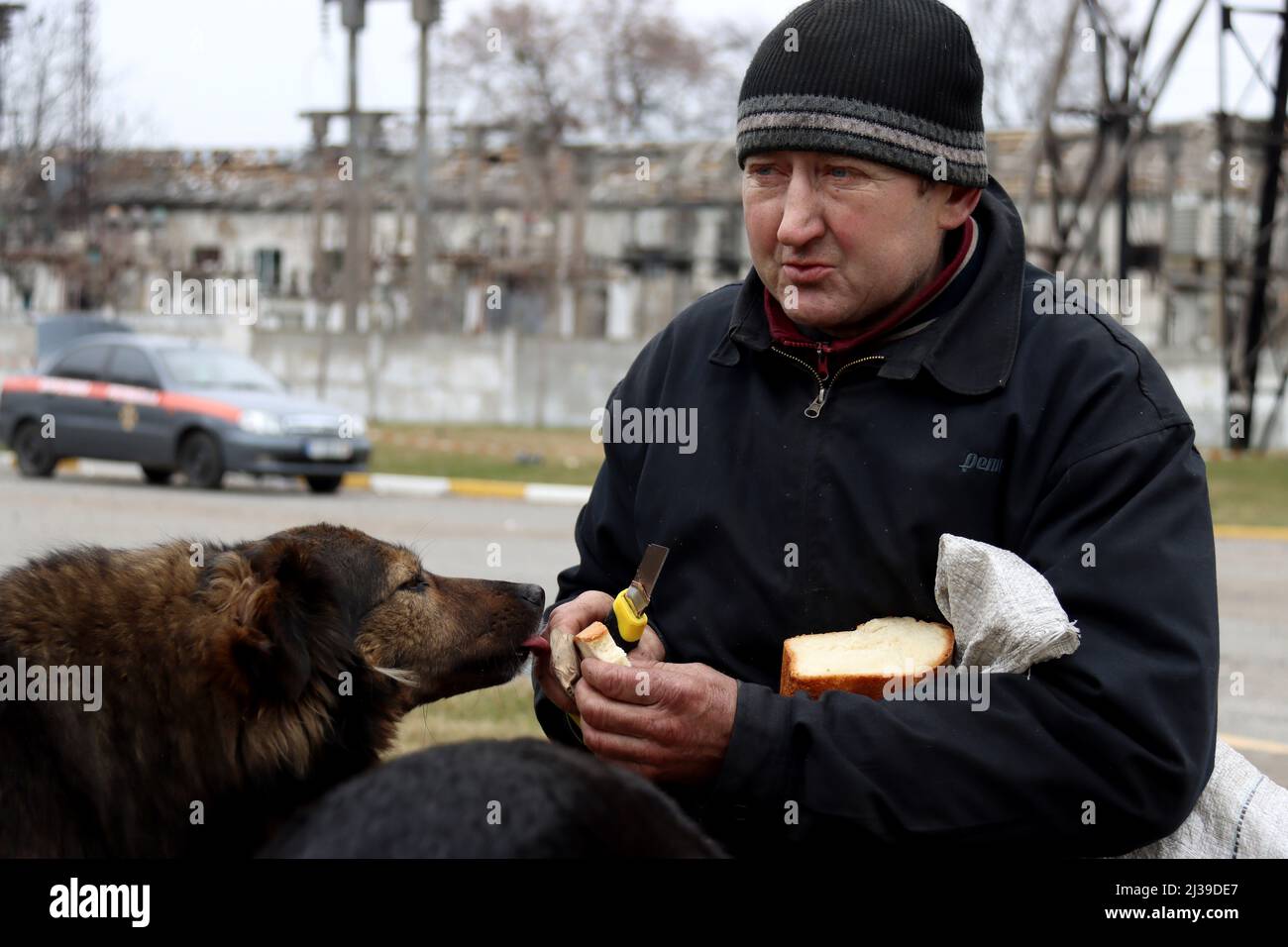 BUCHA, UKRAINE - APRIL 5, 2022 - A man and a dog eat bread in a street ...