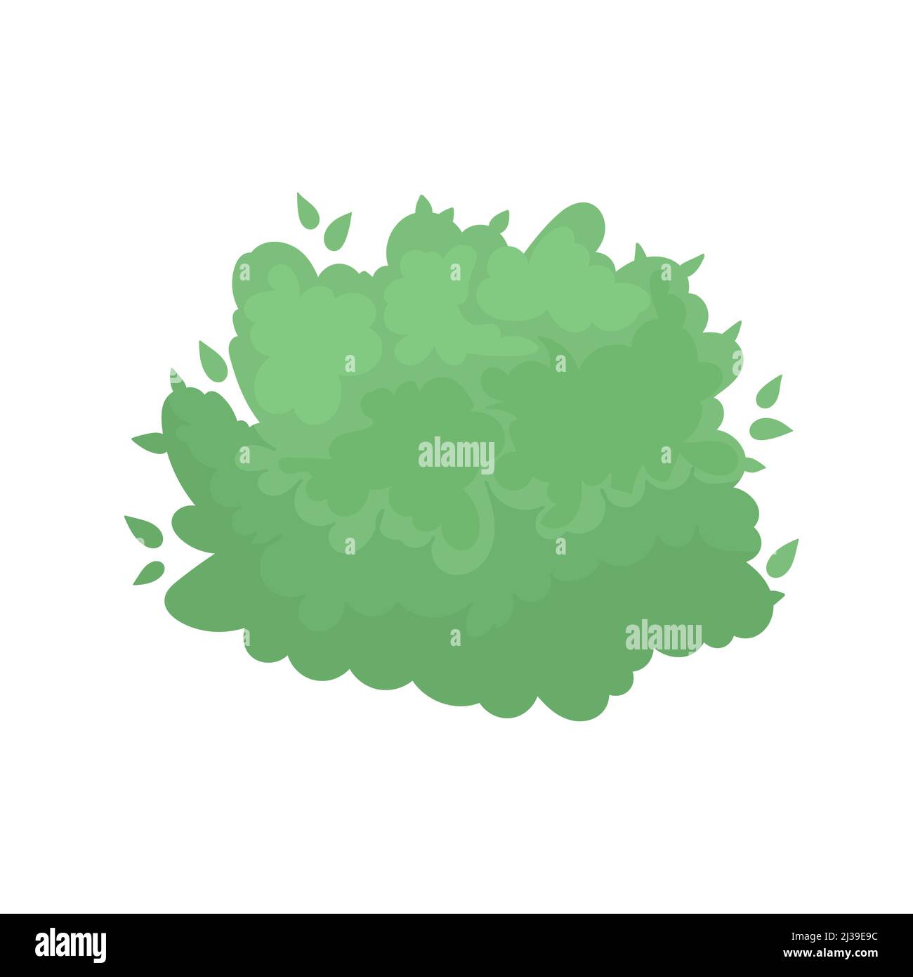 Vector garden bush isolated shrub hedge. Green bush cartoon grass ...