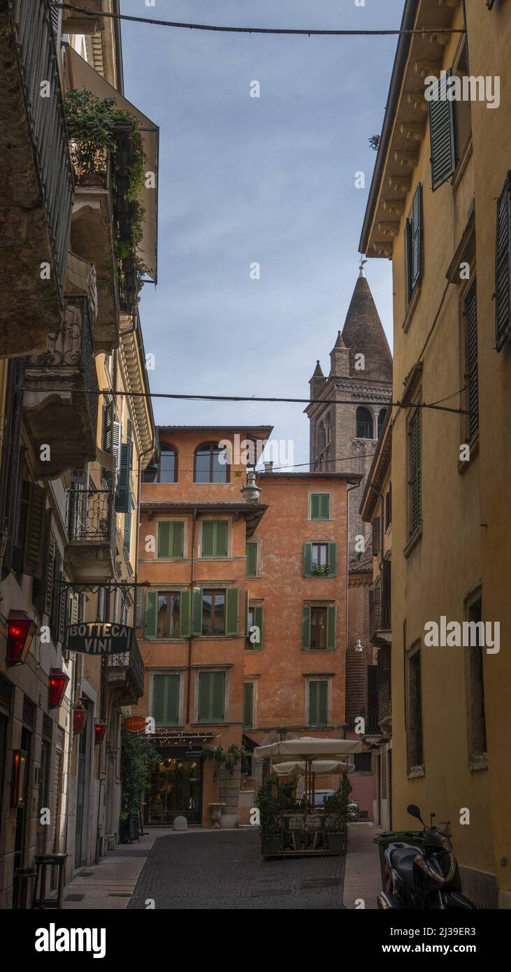 A vertical shot of a narrow street with colorful buildings in Verona ...