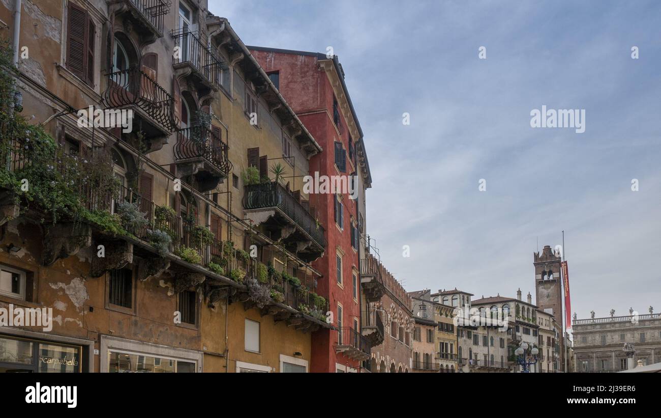 A view of beautiful buildings in Verona, Italy, covered with green ...