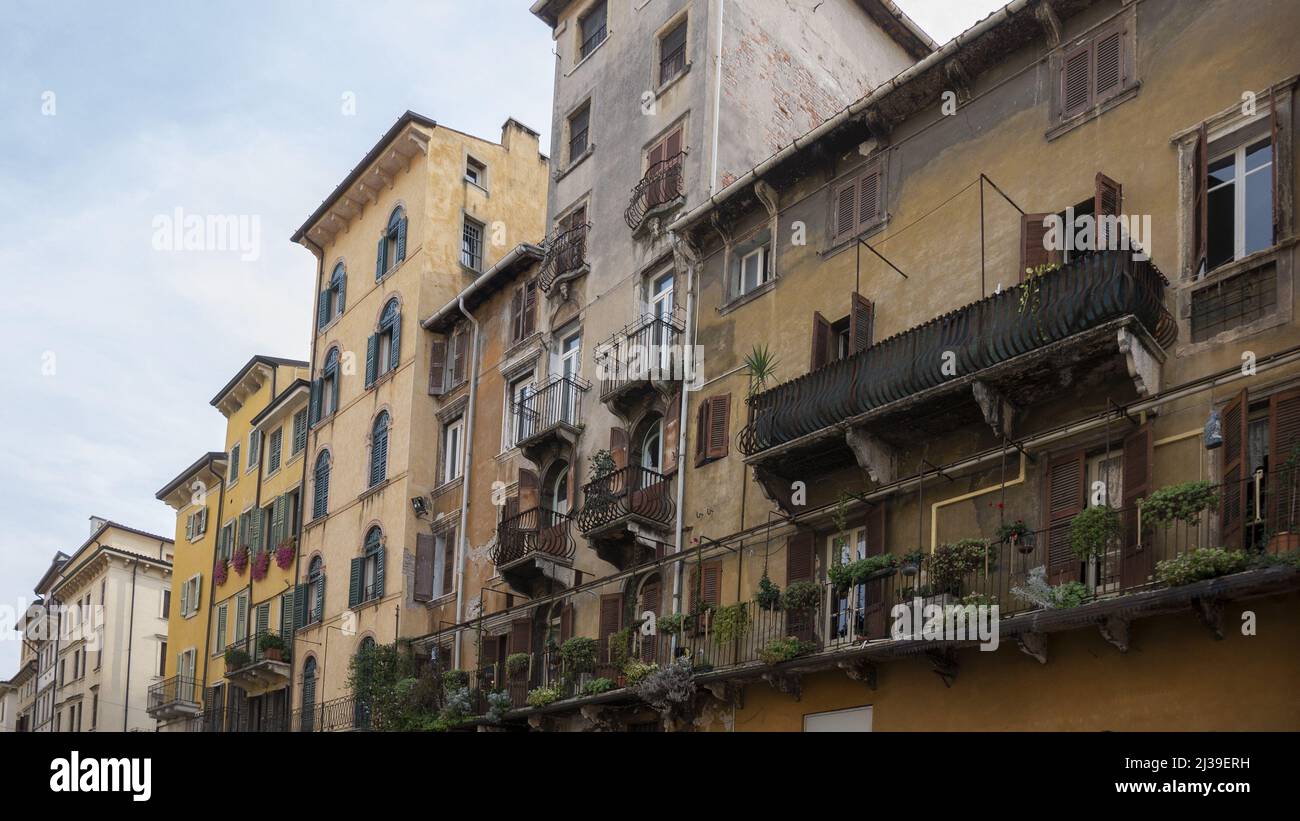A view of beautiful buildings in Verona, Italy, covered with green ...