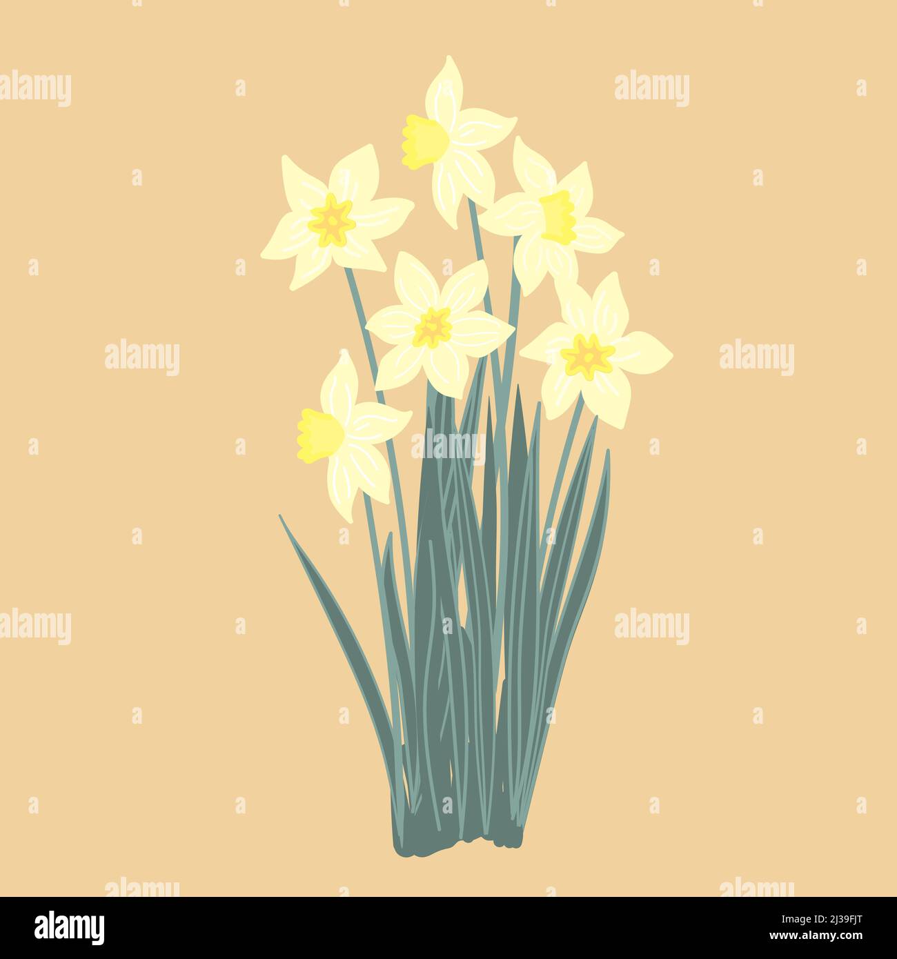 Cartoon daffodil hi-res stock photography and images - Alamy