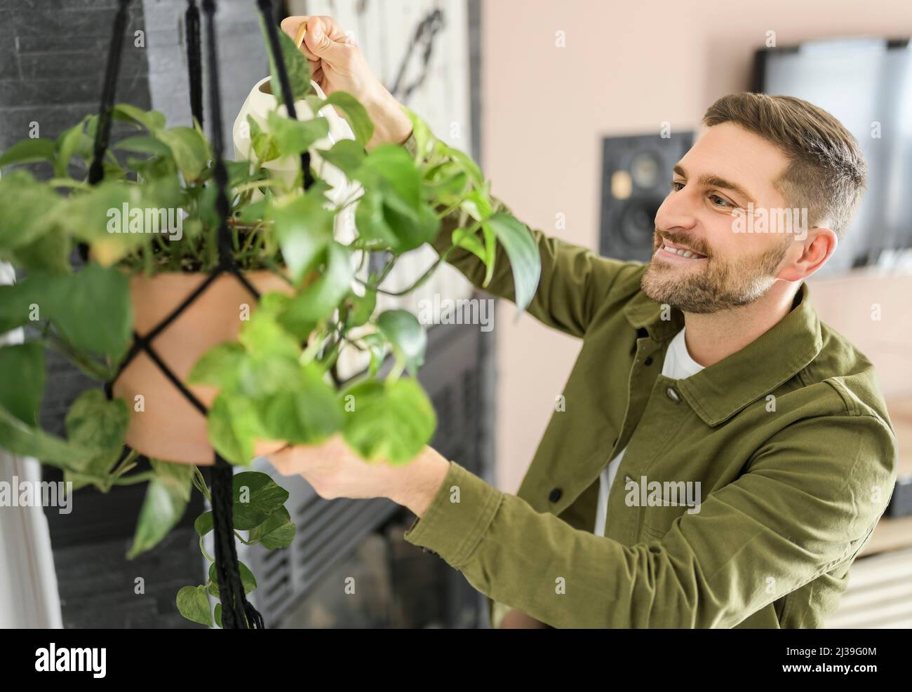 A nice Man spraying water on a house plant and flower with a spray ...
