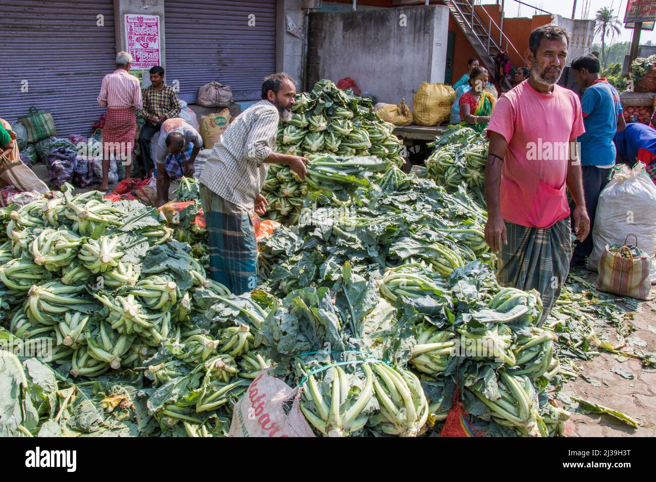 Rural village hut india hi-res stock photography and images - Alamy