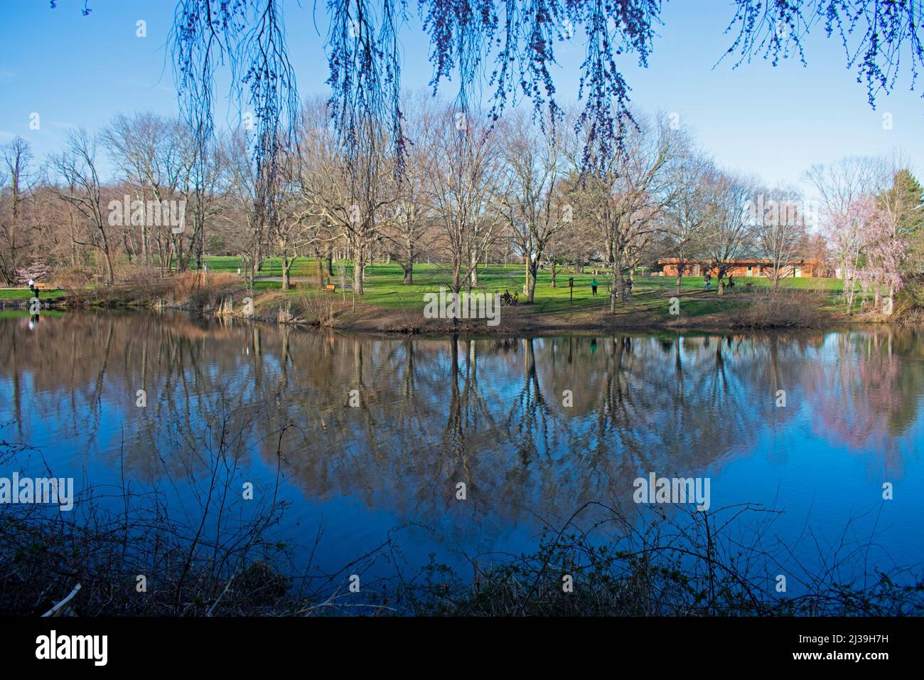 Trees and vegetation hi-res stock photography and images - Alamy