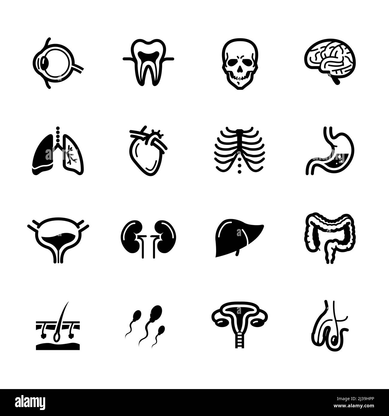 Human Anatomy icons with White Background Stock Photo - Alamy