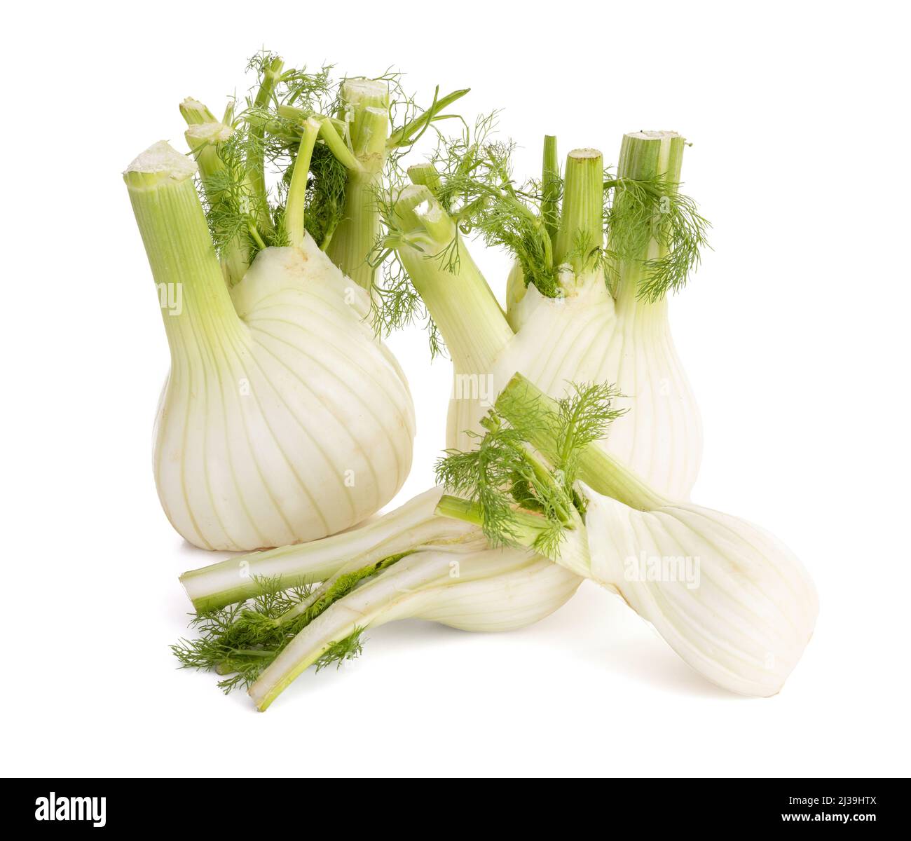 Fennel bulb isolated on a white background Stock Photo - Alamy