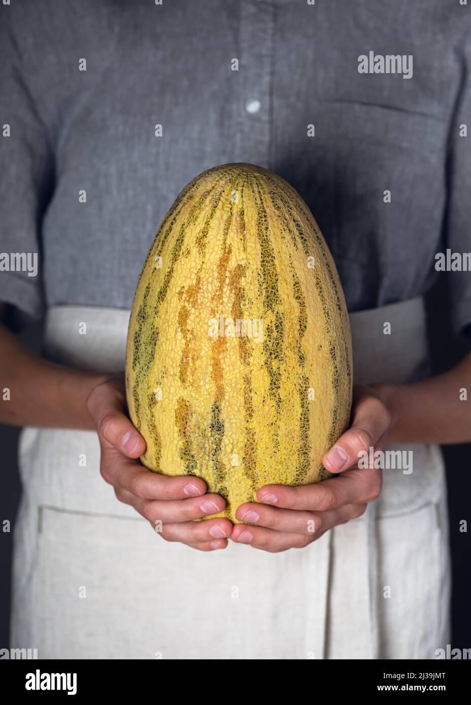 Fresh ripe oval yellow sweet gulabi or torpedo melon with clipping path ...